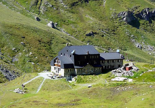 Mario Bezzi - JungleKey.fr Wiki