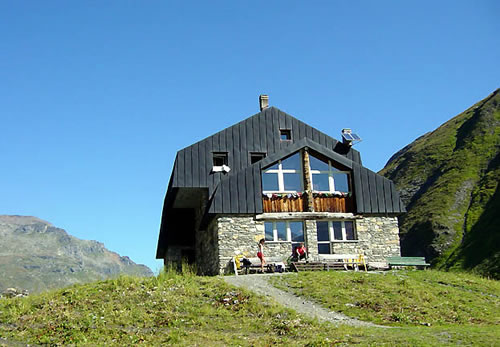 Mario Bezzi - JungleKey.fr Wiki